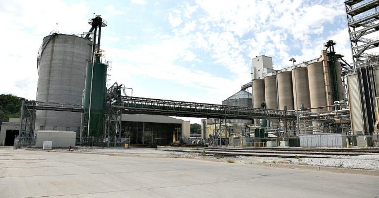 Cargill Kansas City Bean Dump Hours - TxJunkRemoval